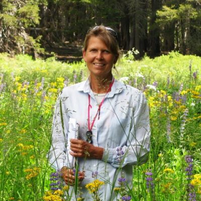 About Us | Plumas Corp